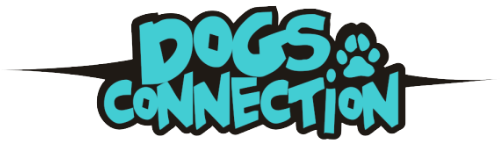 Bundle-Neuhundmensch - Hundeschule Dogs Connection