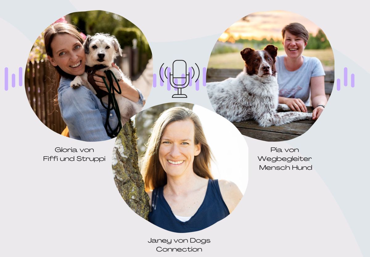 Wissen mit Gloria Volkheimer, Pia Delfau - Dog & Talk Podcast #52